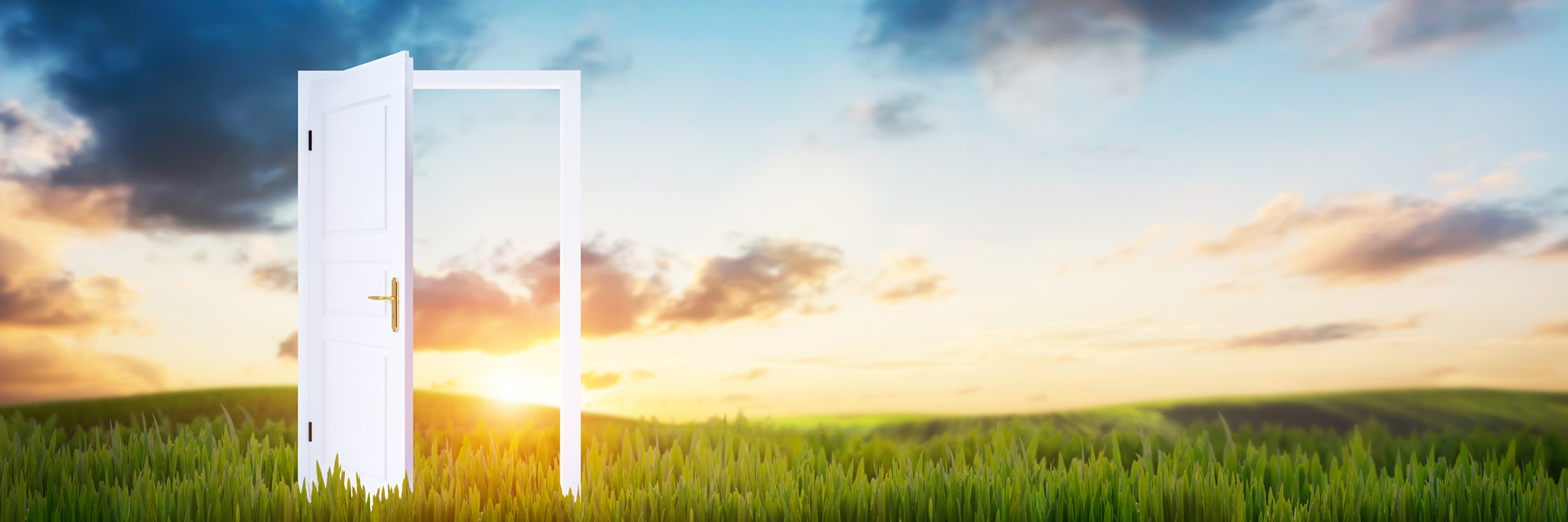 You Provided A Bright Future